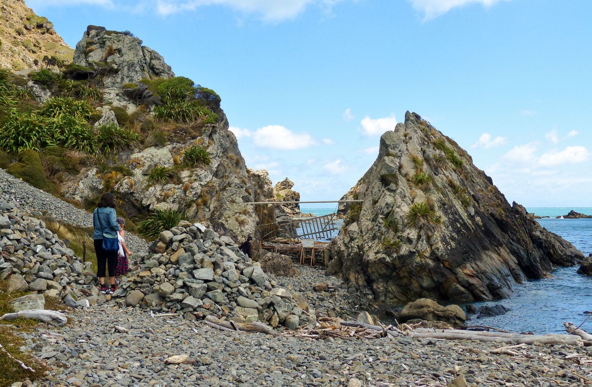 Wairaka Walkway (Pukerua Bay coast) – Paekākāriki.NZ