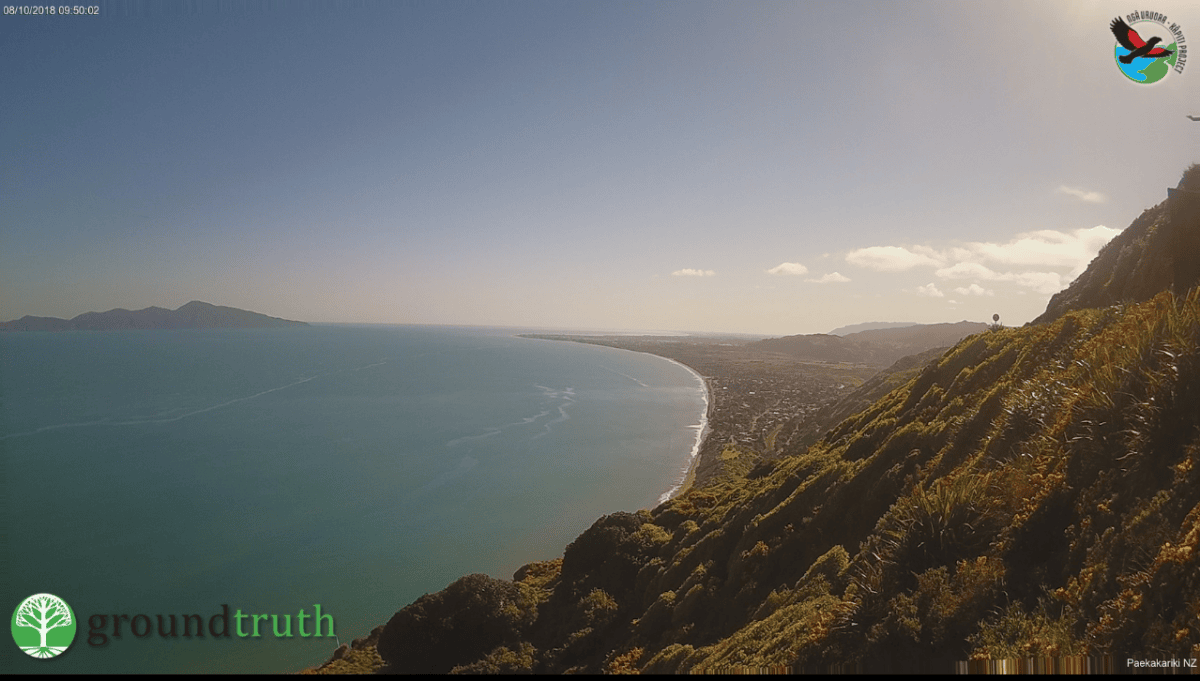 Paekākāriki Escarpment Track – Paekākāriki.NZ