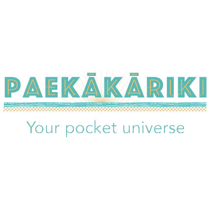 Small Fry Design – Paekākāriki.NZ