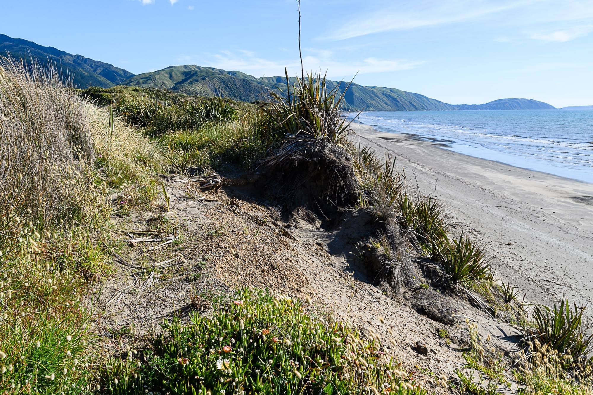 Whareroa walkway – Paekākāriki.NZ