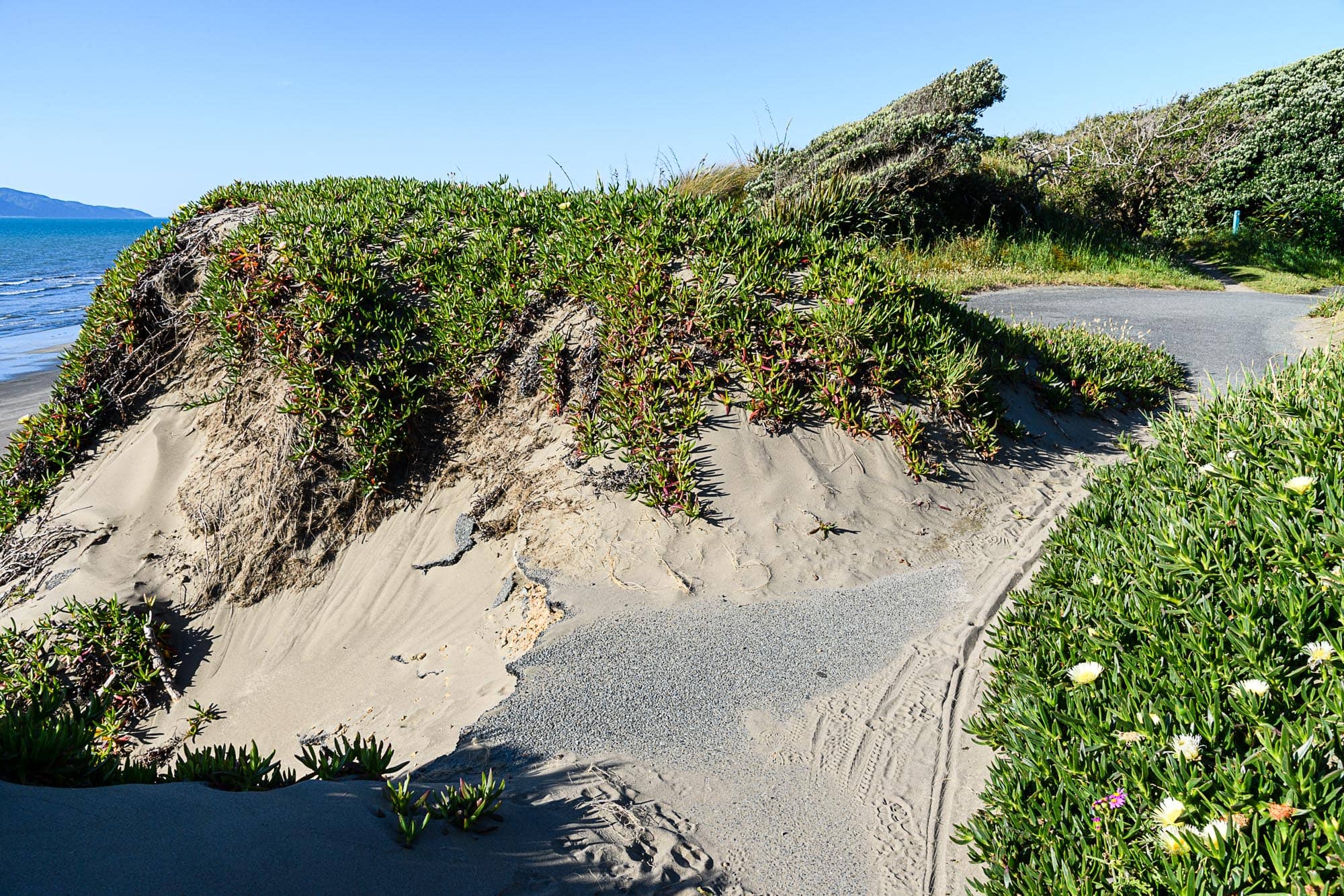 Whareroa walkway – Paekākāriki.NZ
