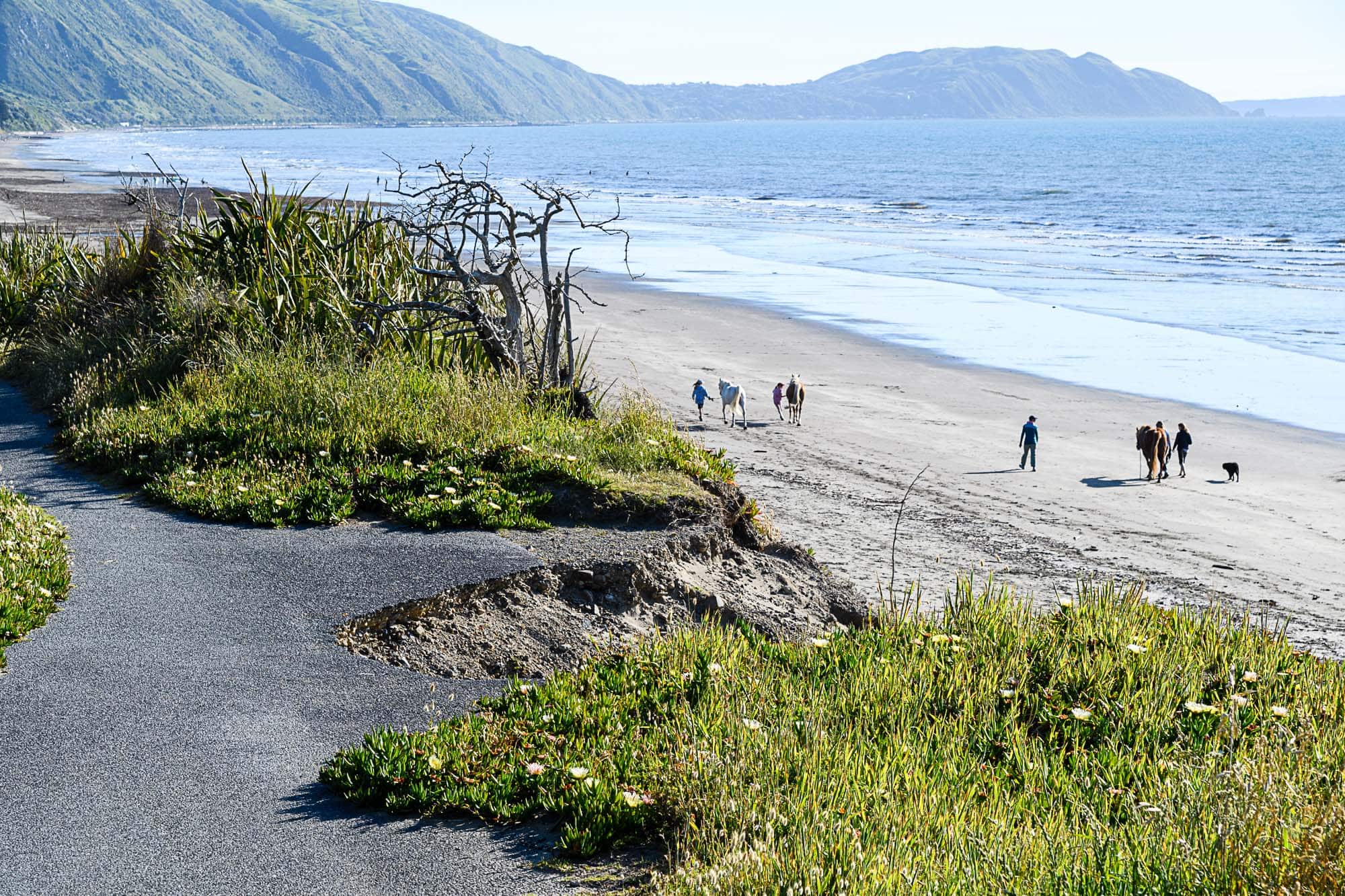 Whareroa walkway – Paekākāriki.NZ