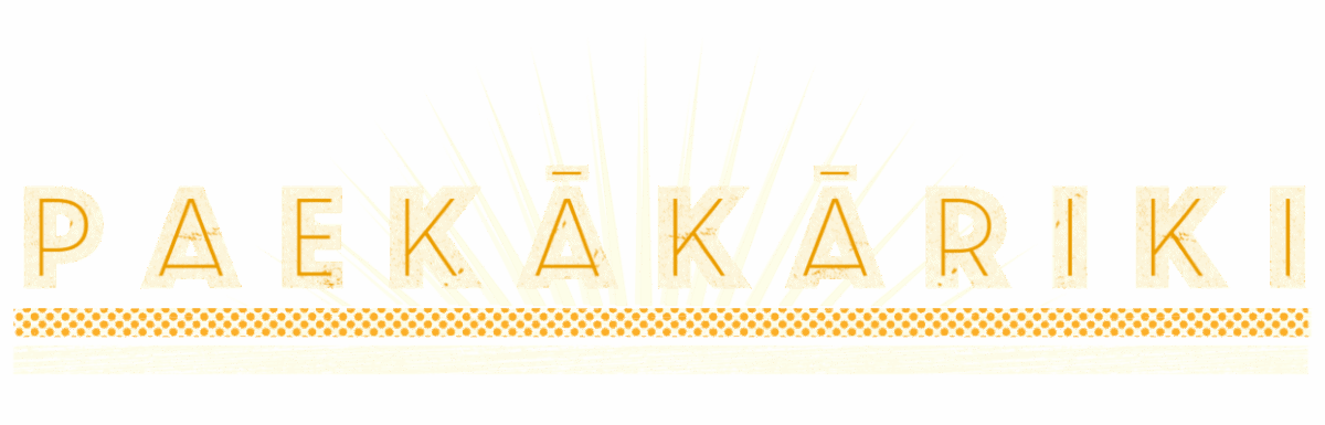 Steam Inc – Paekākāriki.NZ